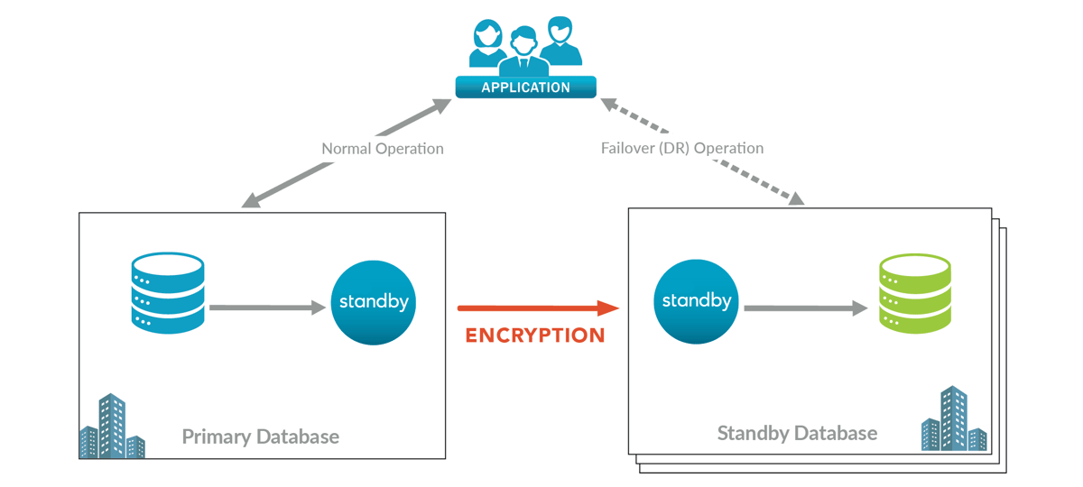 The Importance of Data Recovery | delaPlex Blog
